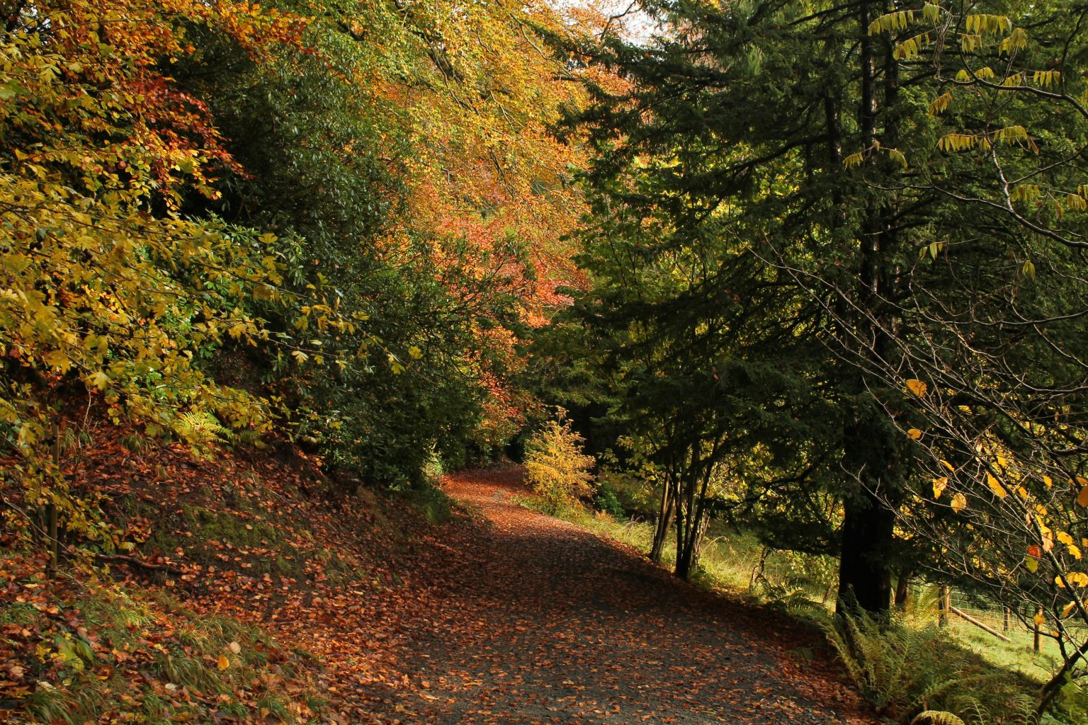 2025 Autumn Budget: How Will The Changes Affect You? - Jan McDermott